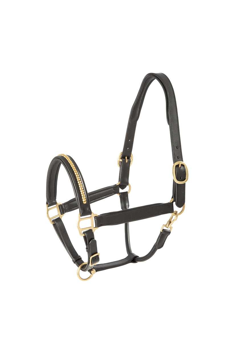 | Halter | English leather | limobits | Horse halter with brass ...