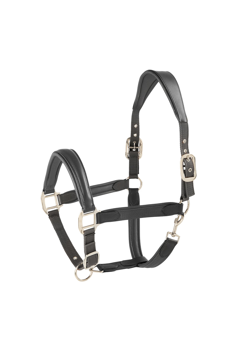 | Halter | English leather | limobits | Horse halter | – Makebe Store